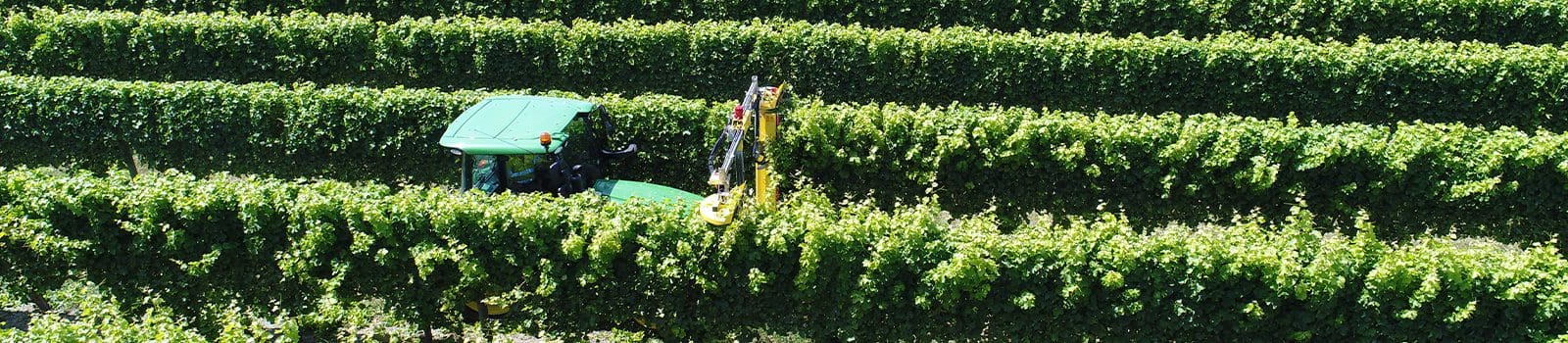 KMS Rinklin Vineyard Trimmers | Drummond & Etheridge