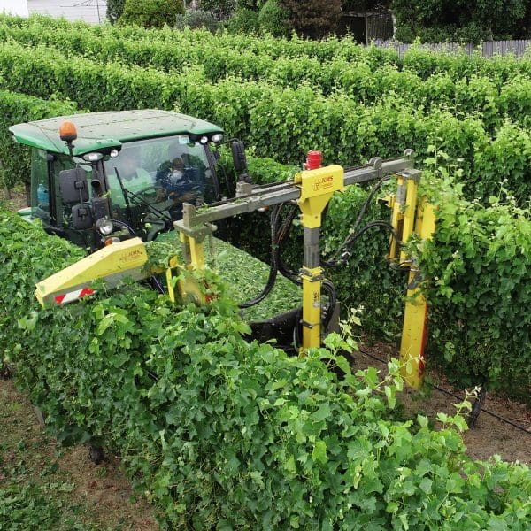 KMS Standard Double Row Leaf Trimmer - Used Equipment - Drummond ...